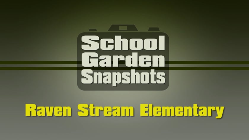 Raven Stream Elementary School, New Prague, MN - Jeffers Foundation