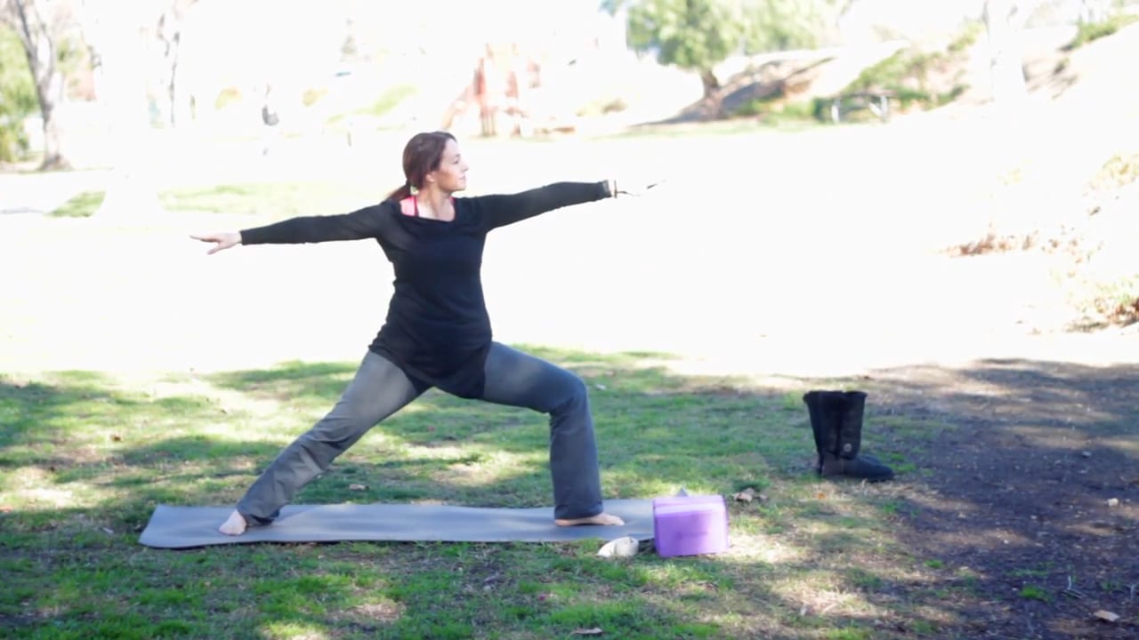 Yoga For Beginners 30 Day Challenge Day 8 with Lesley Fightmaster on Vimeo
