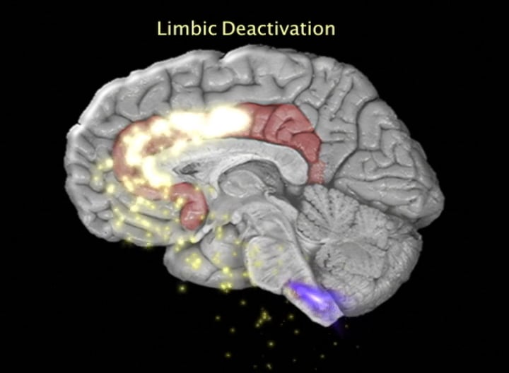 Limbic Activation and Deactivation on Vimeo