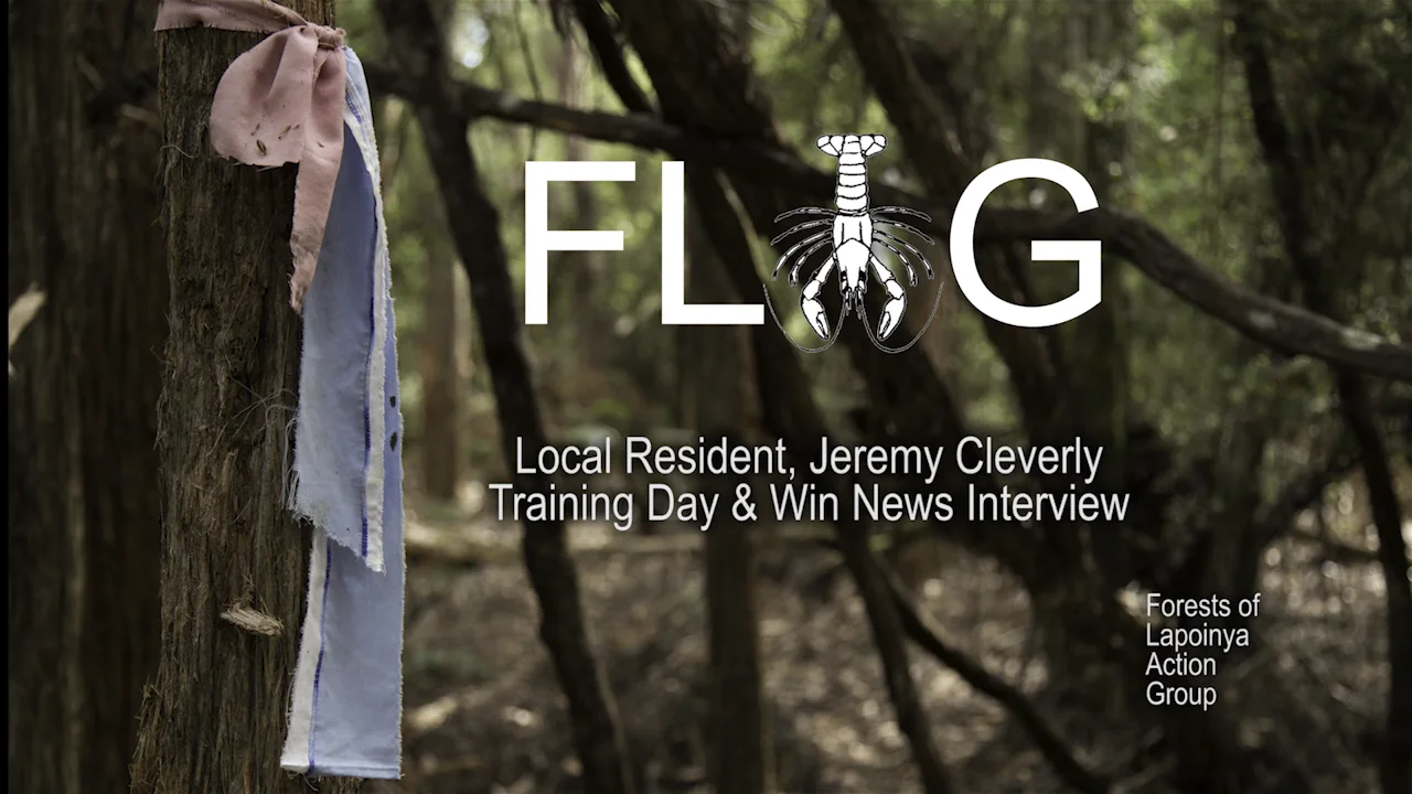 Flag 05 - Jeremy Cleverly on Vimeo