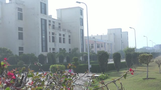 IBS Jaipur