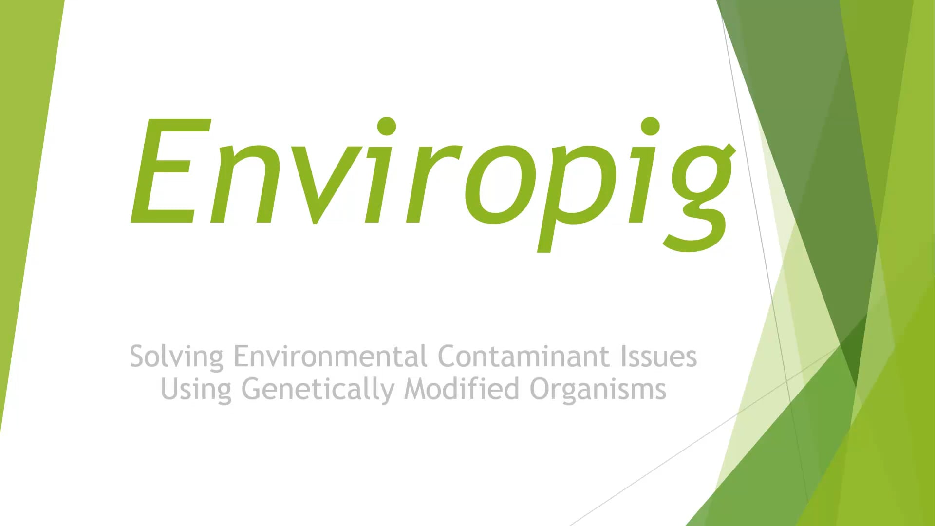 Enviropig Overview on Vimeo