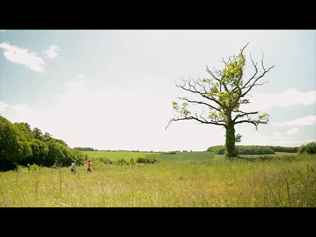 'Enigma' on Vimeo
