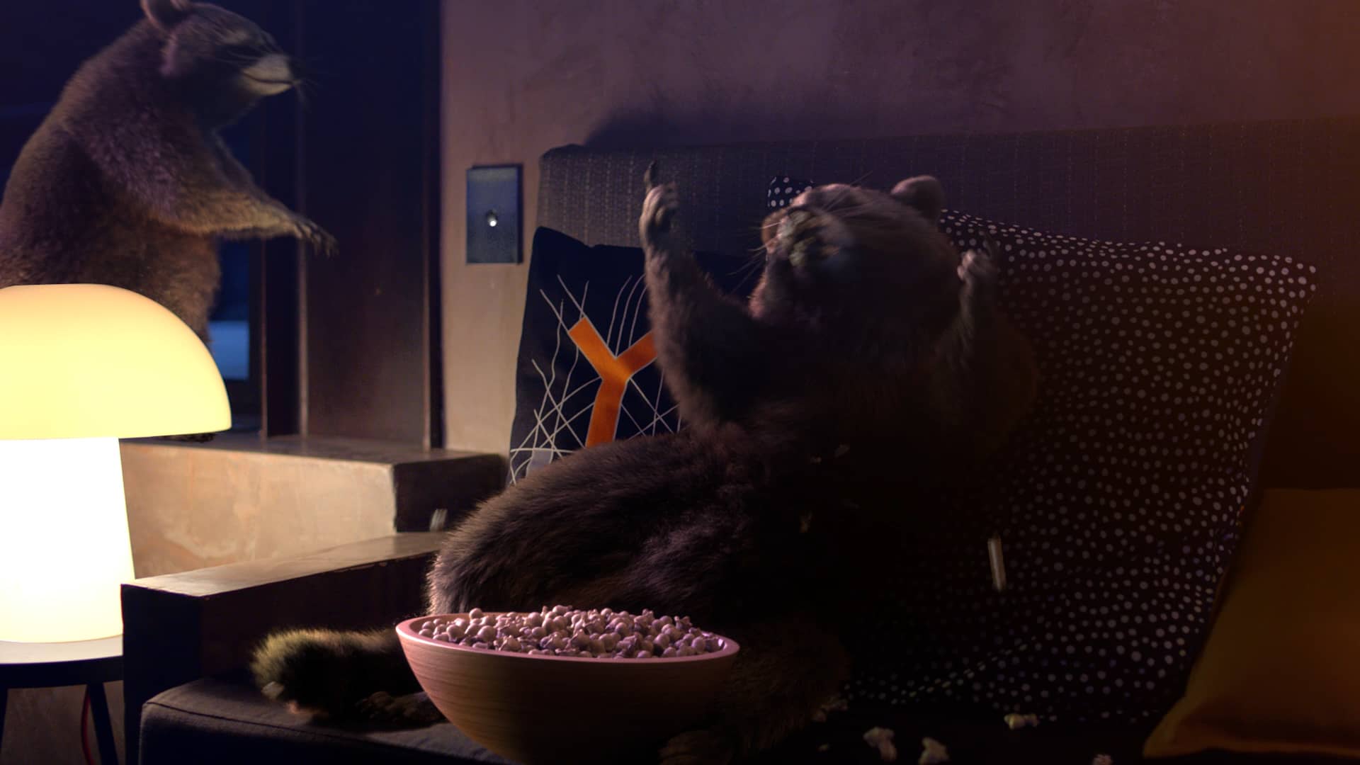 schneider_twerking_raccoon on Vimeo