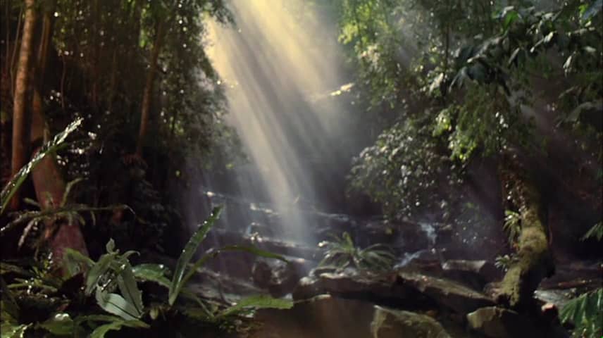 Earth Song - Michael Jackson on Vimeo