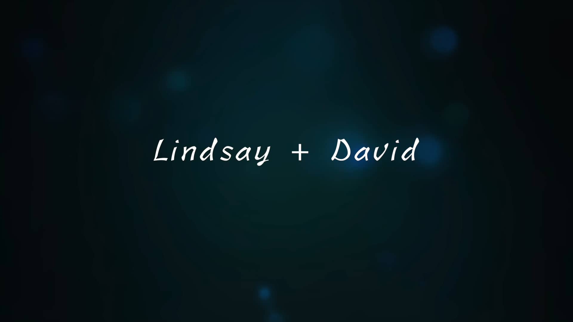 The Wedding of Lindsay and David on Vimeo