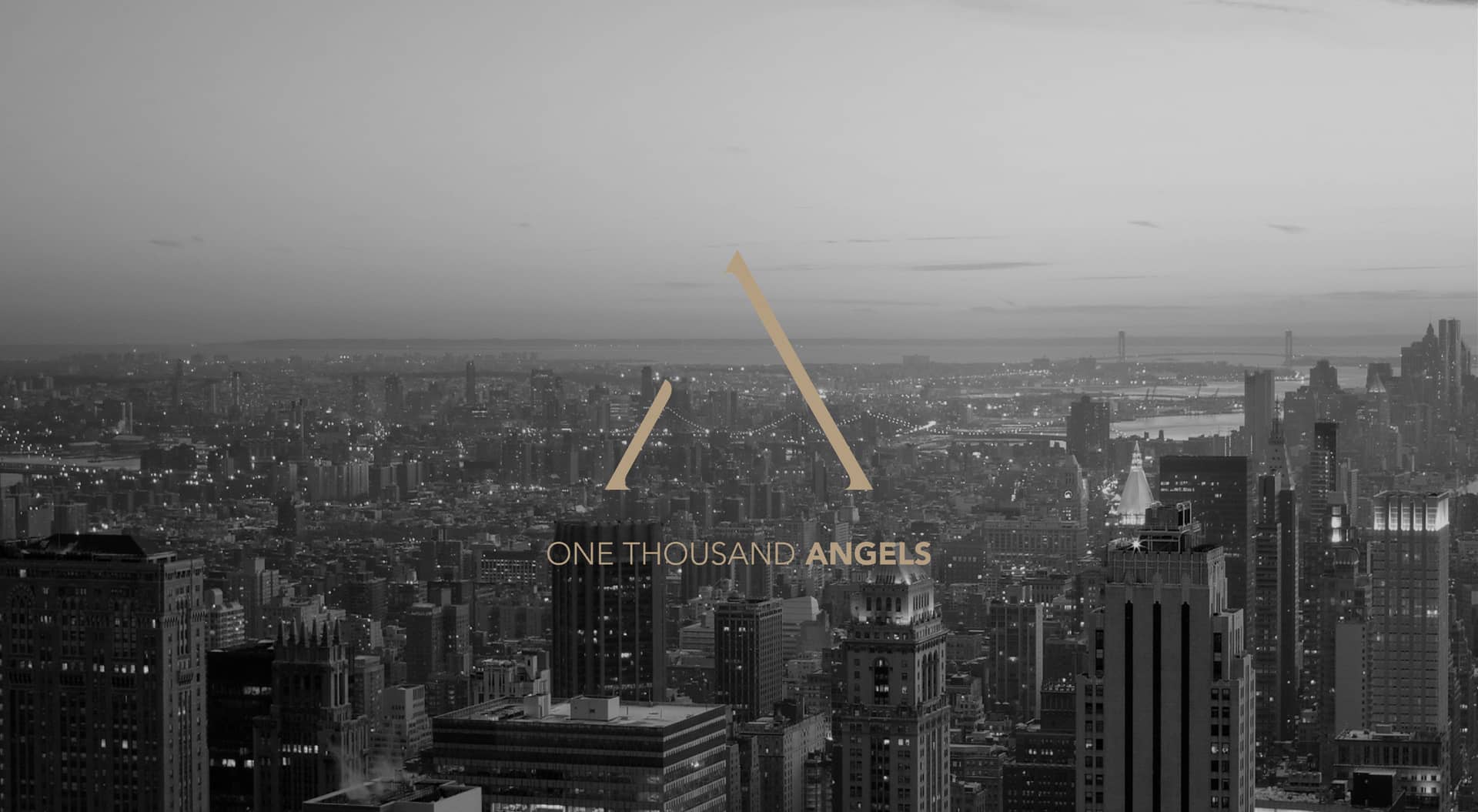 Meet 1000 Angels on Vimeo