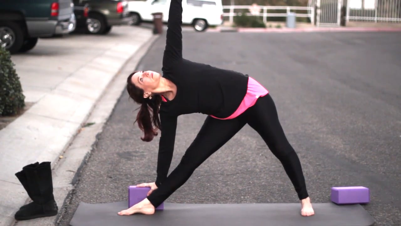 Yoga For Beginners 30 Day Challenge Day 14 With Lesley Fightmaster on Vimeo
