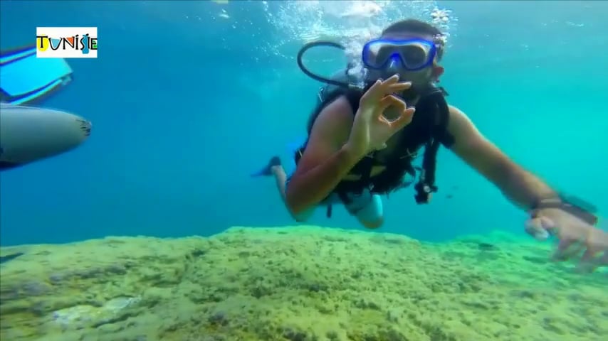 Tunisia Diving on Vimeo