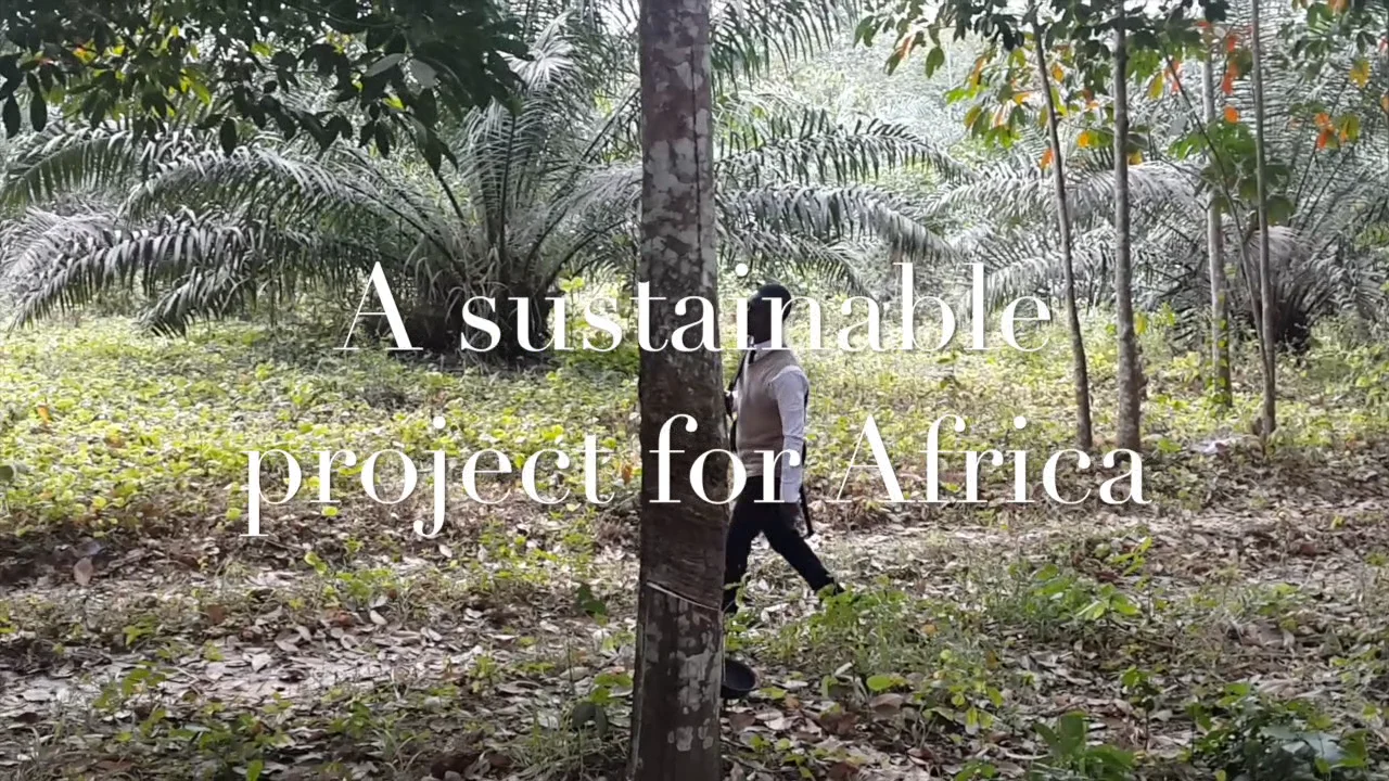 "SIVE Invention" by Samuel Sevi Gbekpon - A revolutionnary device for latex production (TV News ...