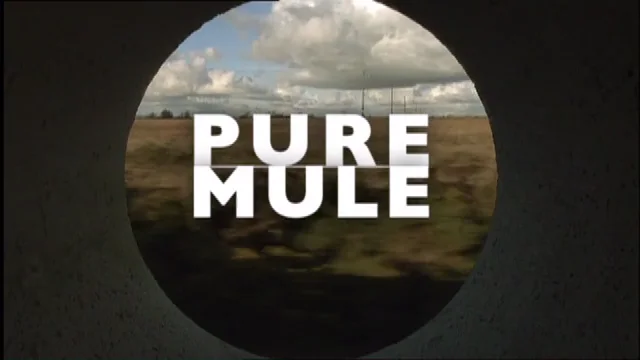 Pure Mule Ep2 Clip on Vimeo