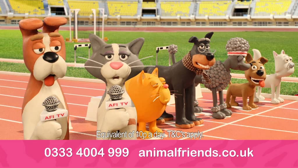 Animal Friends Insurance - The Race on Vimeo