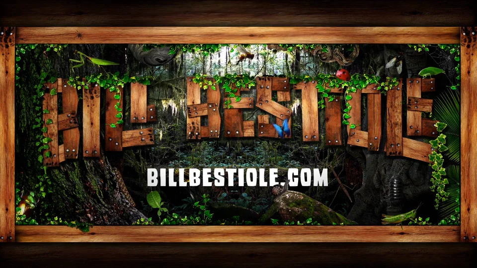 Bill Bestiole 5-12 ans on Vimeo