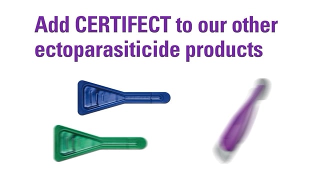 Certifect full video on Vimeo