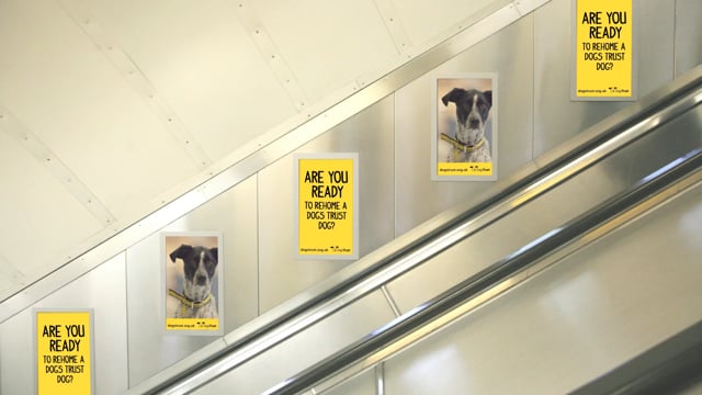 Dogs Trust on Vimeo