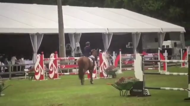 Toni Leviste and Maximillian, CSI Kapellen, Belgium 1.55m GP July 12 ...