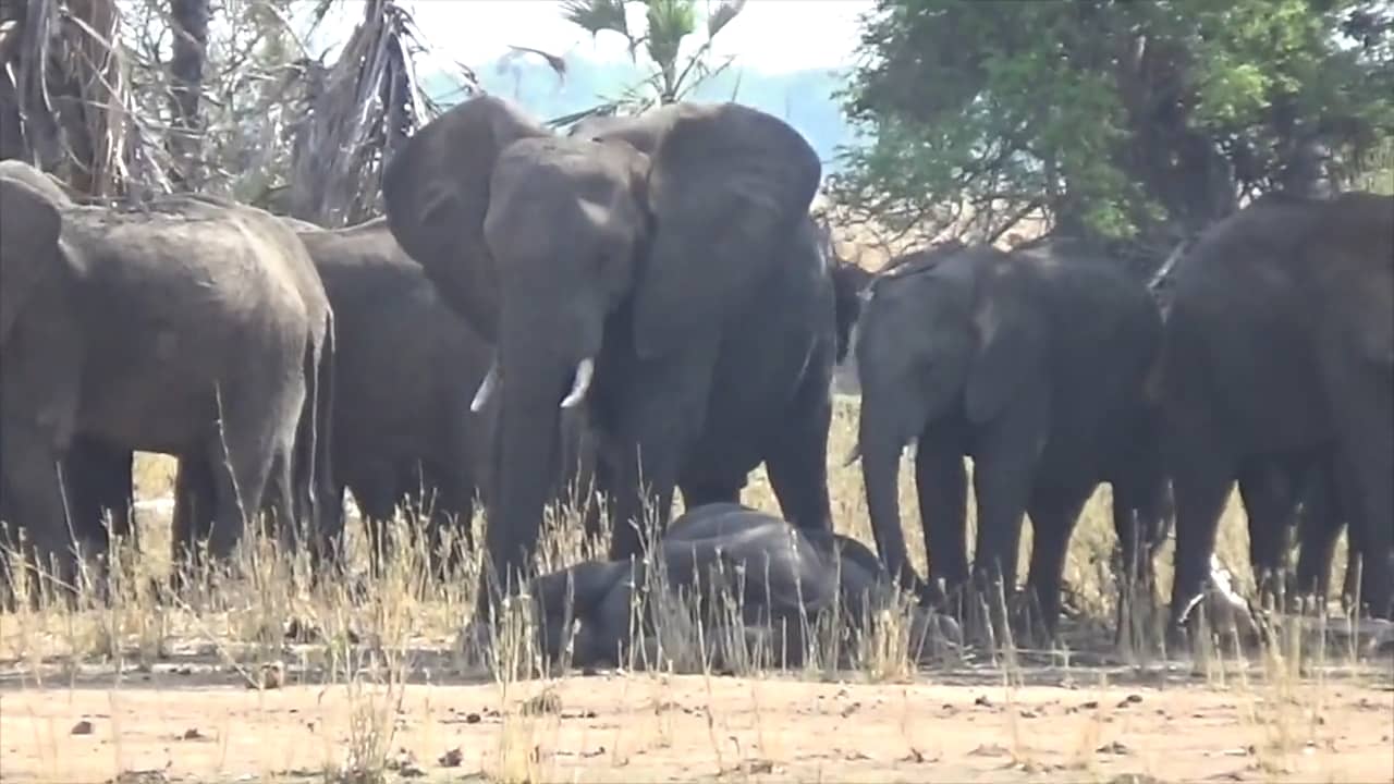 Safari In National Park November 22, 2015 Ministers Joseph and Emily ...