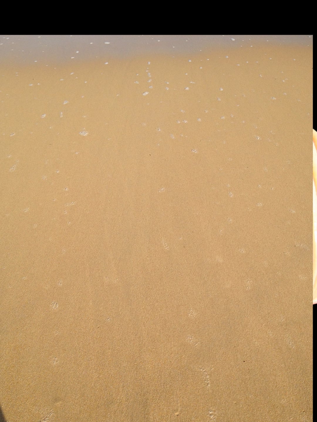 2D Tracking in Mocha - Attempted on Vimeo