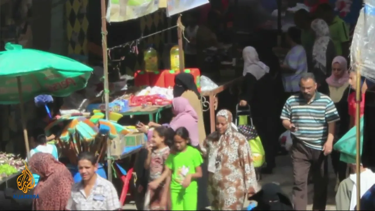 Sisi- Fuel for a backlash - Peter Middlebrook Interview on Vimeo