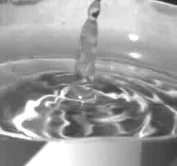 sdsdsdsdsdsd on Vimeo