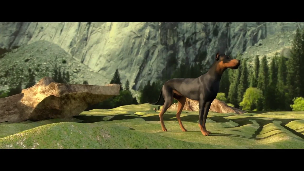 " DOG " Animation Test on Vimeo