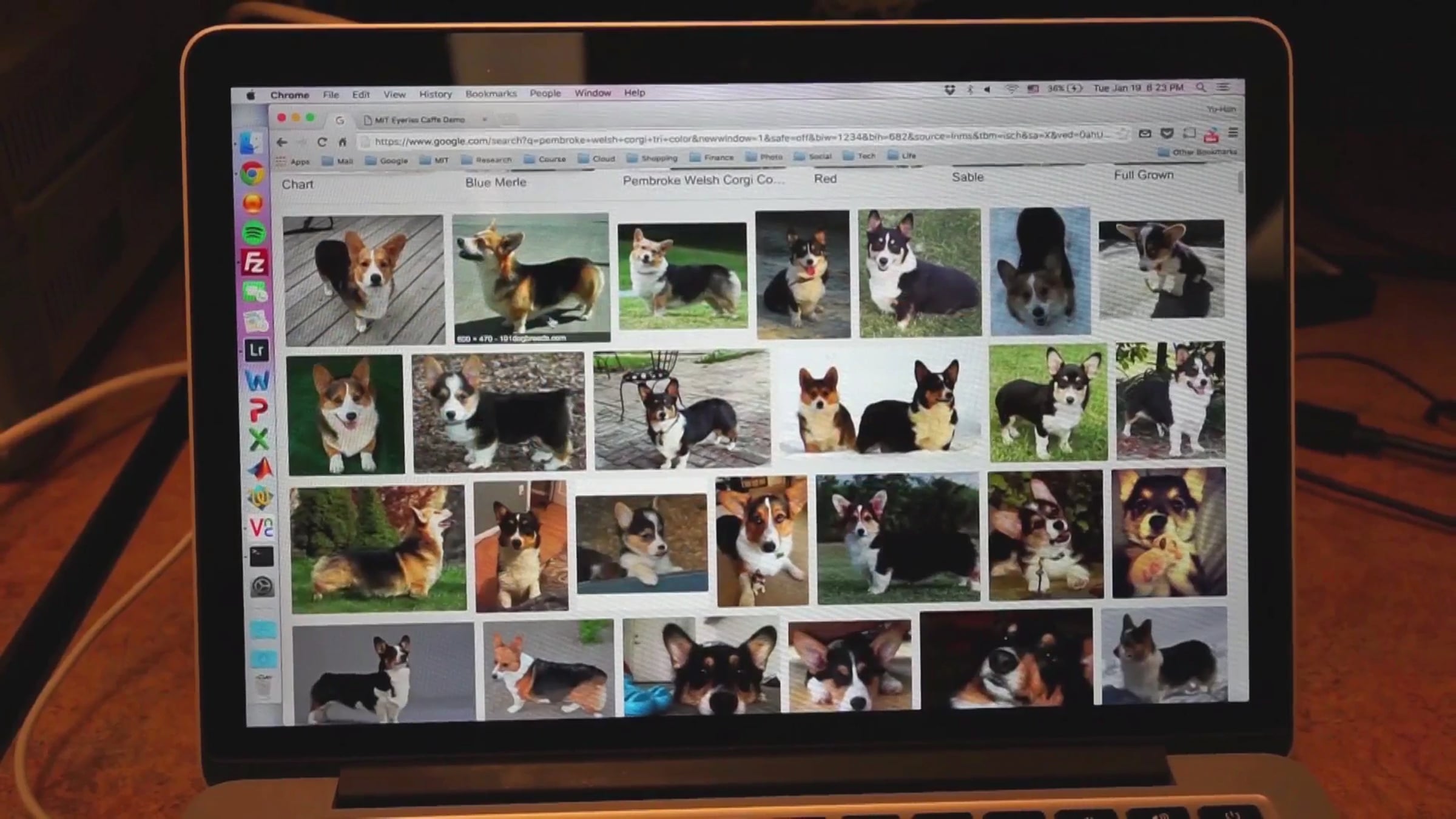 Eyeriss Caffe Demo (ISSCC 2016)