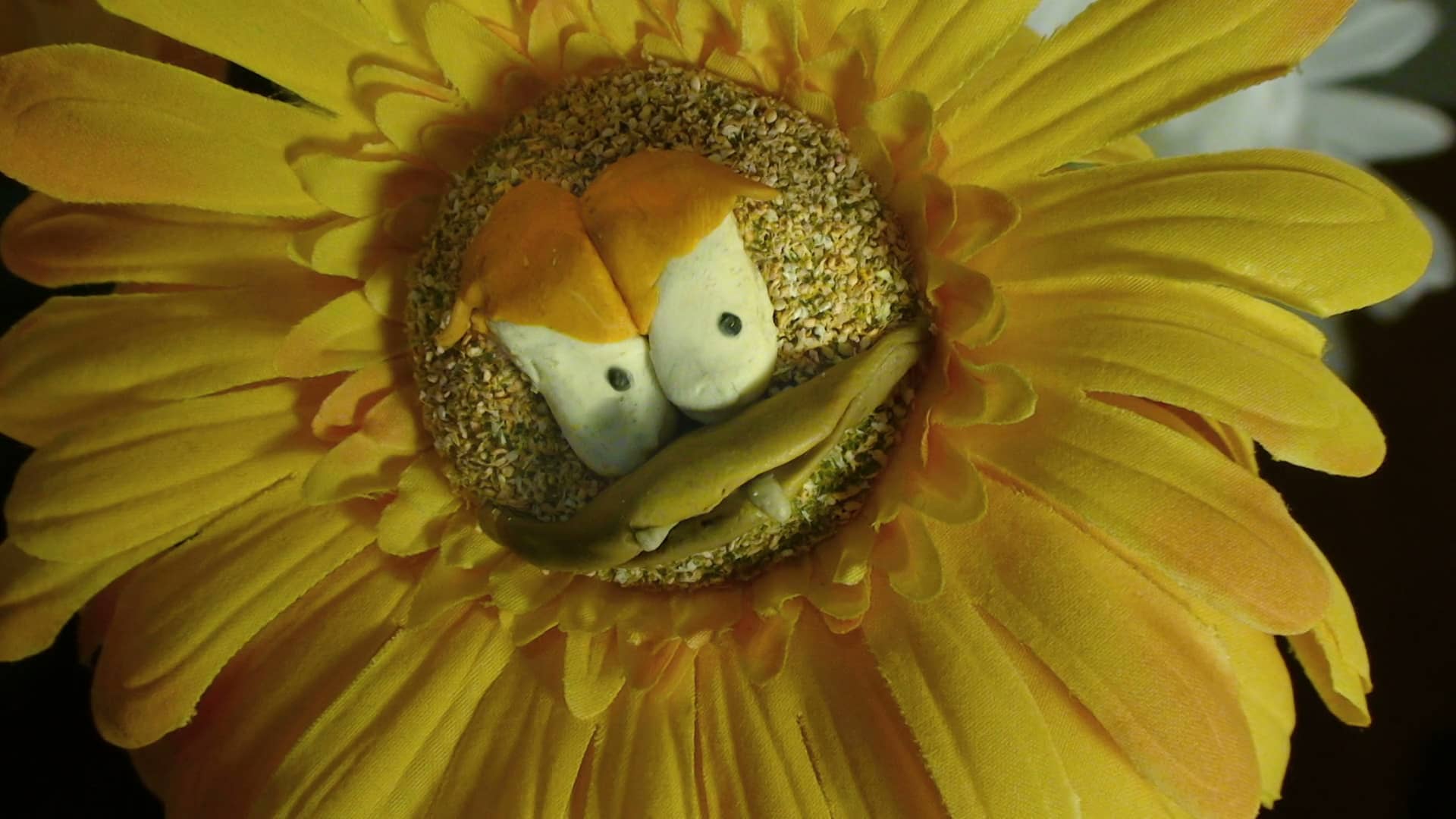 Evil Flowers on Vimeo