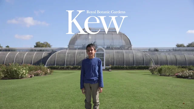 Postcode For Elizabeth Gate Kew Gardens | Fasci Garden