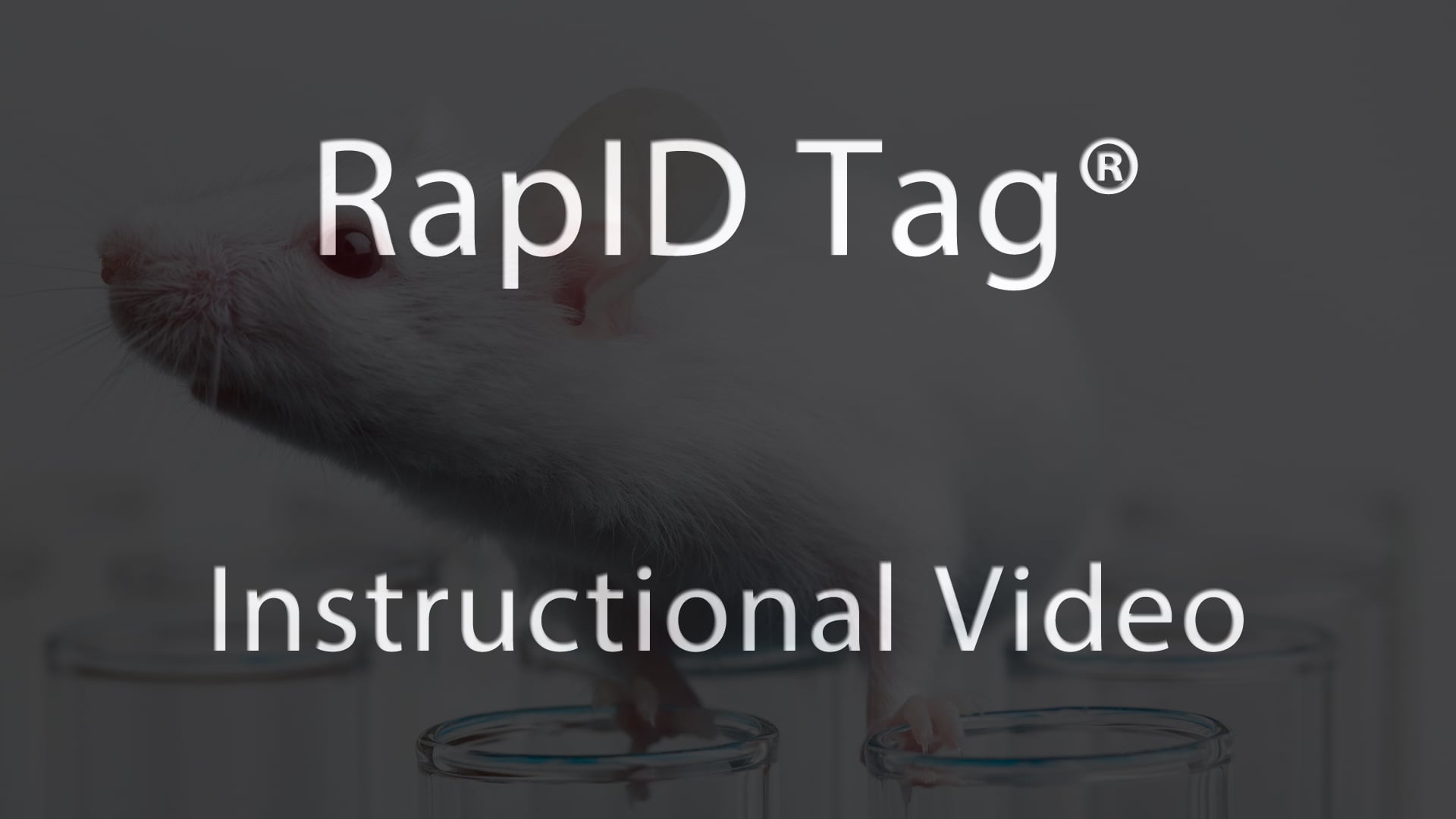 RapID Lab Product Guide Video