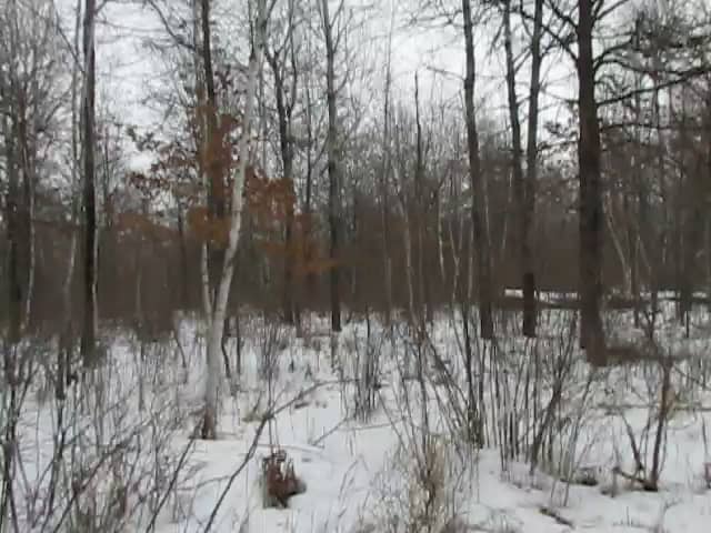 Emma Soukup's Video Journal of a Local Nature Area on Vimeo