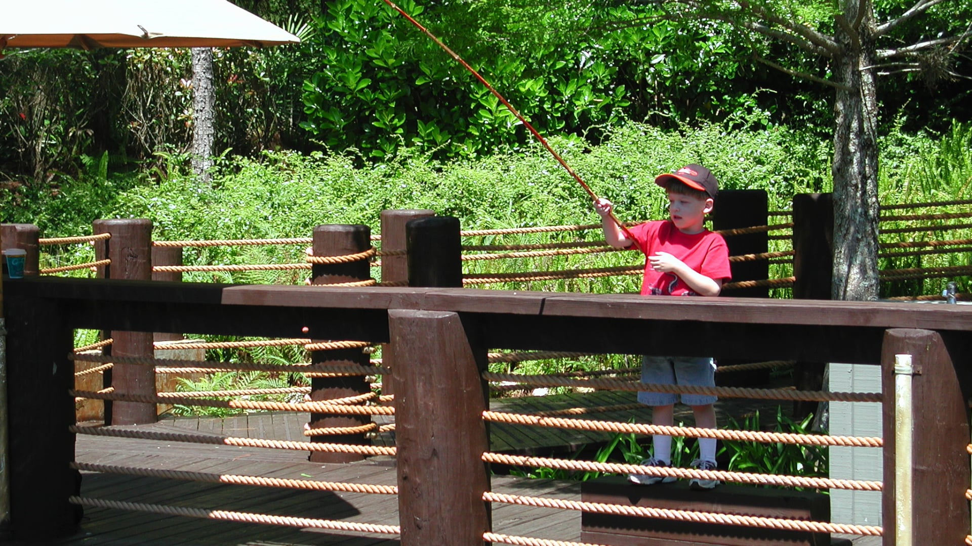 Disney World 2001 on Vimeo