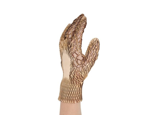 The Anatomy Of The Hand on Vimeo