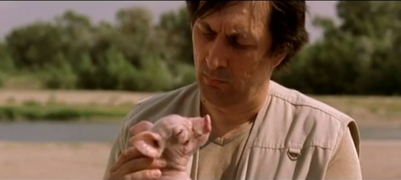 TOUT EST BON DANS LE COCHON France 3 Directed by Emma Perret on Vimeo