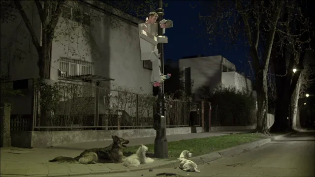 IKEA Catalogue 2013: A World Without Textiles