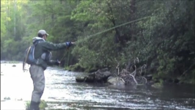 Fly Fishing for South Carolina Trout on Vimeo