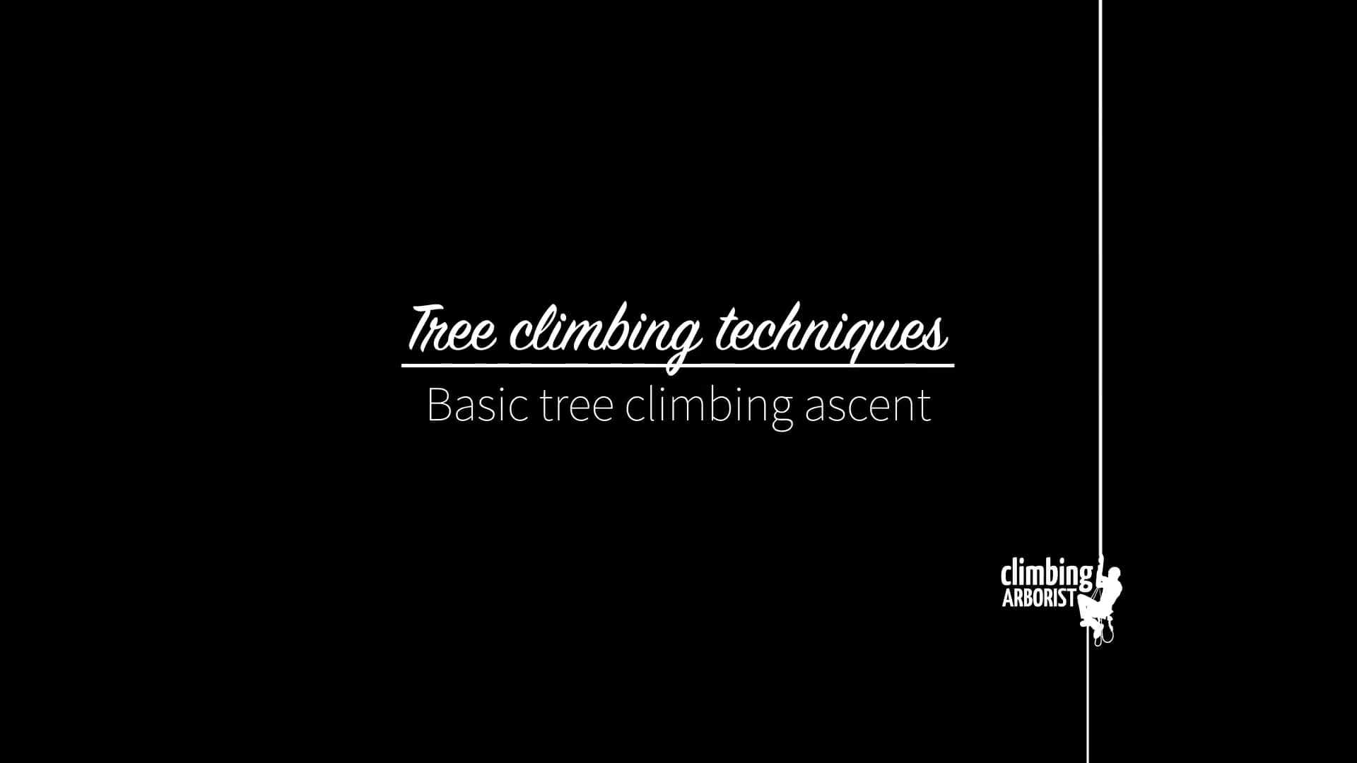 Basic tree climbing ascent technique on Vimeo
