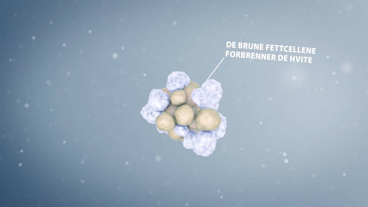 Hydroprot - Reklamefilm on Vimeo