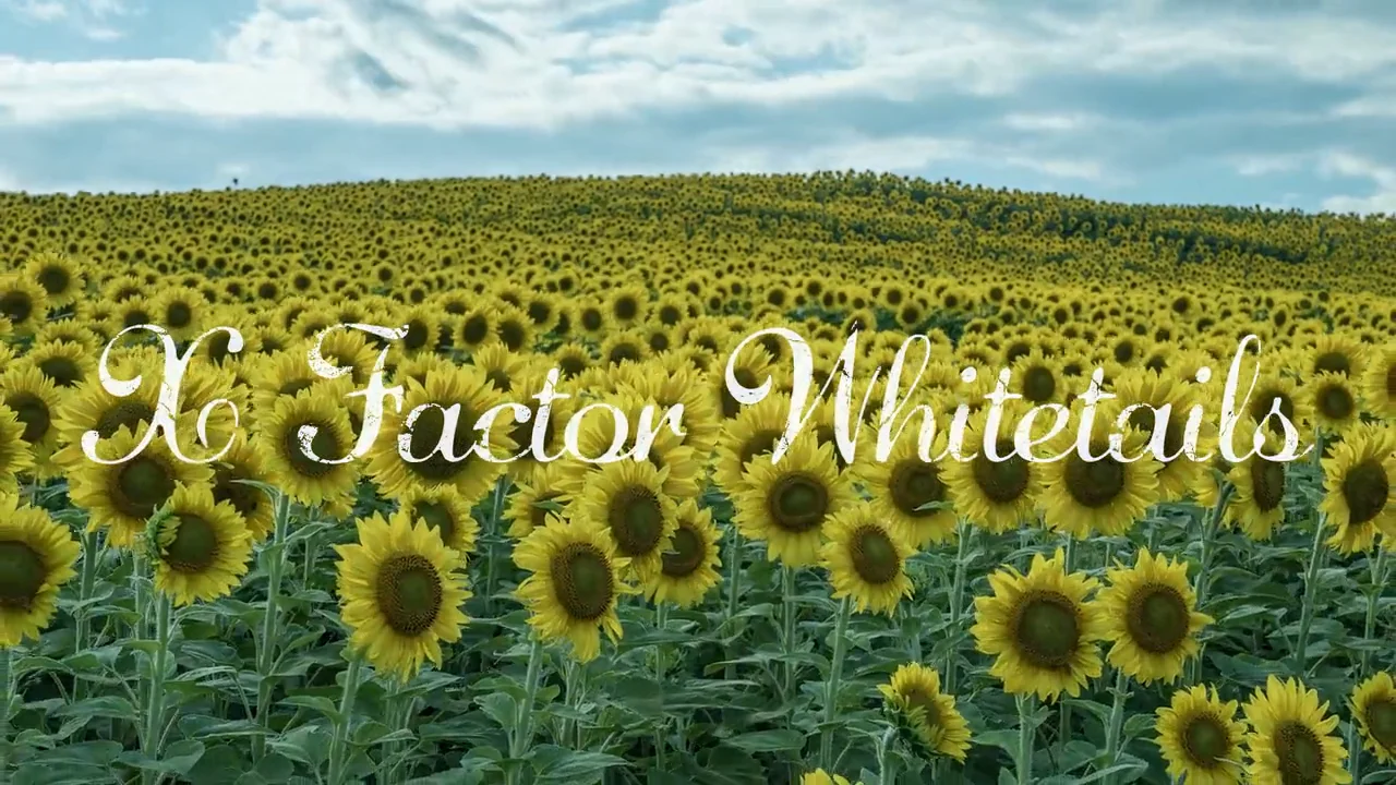 Deer & Wildlife Stories - X Factor Whitetails on Vimeo