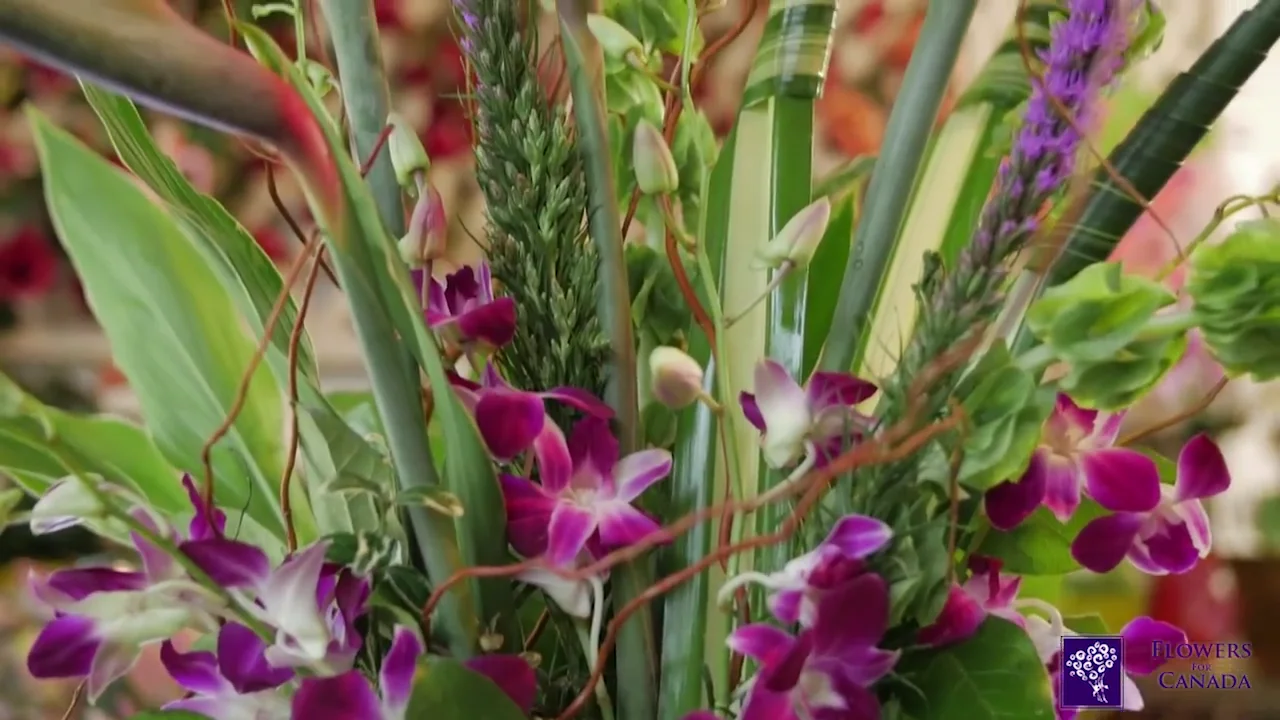 YP - Flowers For Canada on Vimeo