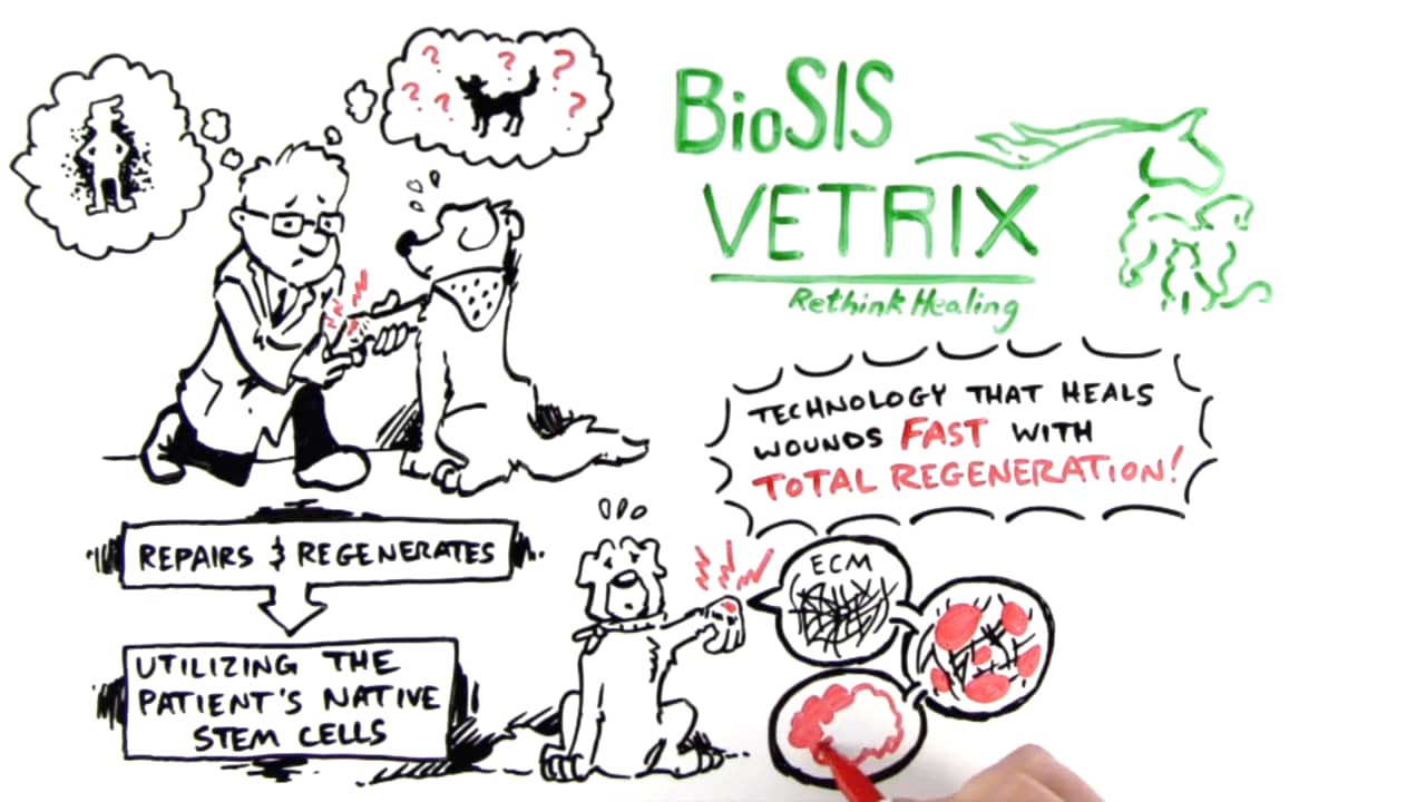 Vetrix BioSIS Regenerative Medicine for Veterinary Practice on Vimeo