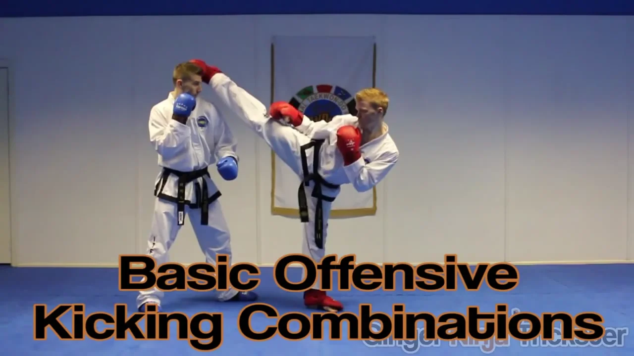 Basic Offensive Kicking Combinations for Sparring on Vimeo
