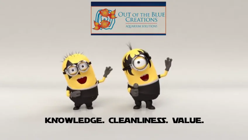 MINION SAMPLES - SAMPLE1 on Vimeo