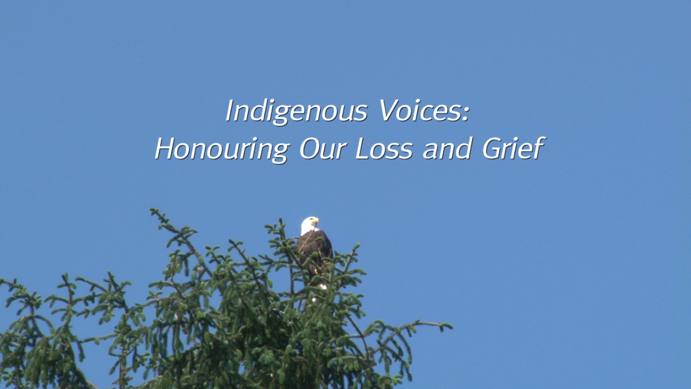 Indigenous Voices: Honouring Our Loss and Grief