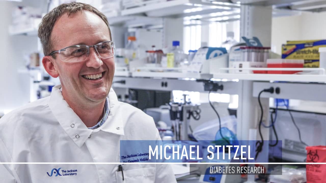 Michael Stitzel, Ph.D., on Diabetes Research on Vimeo