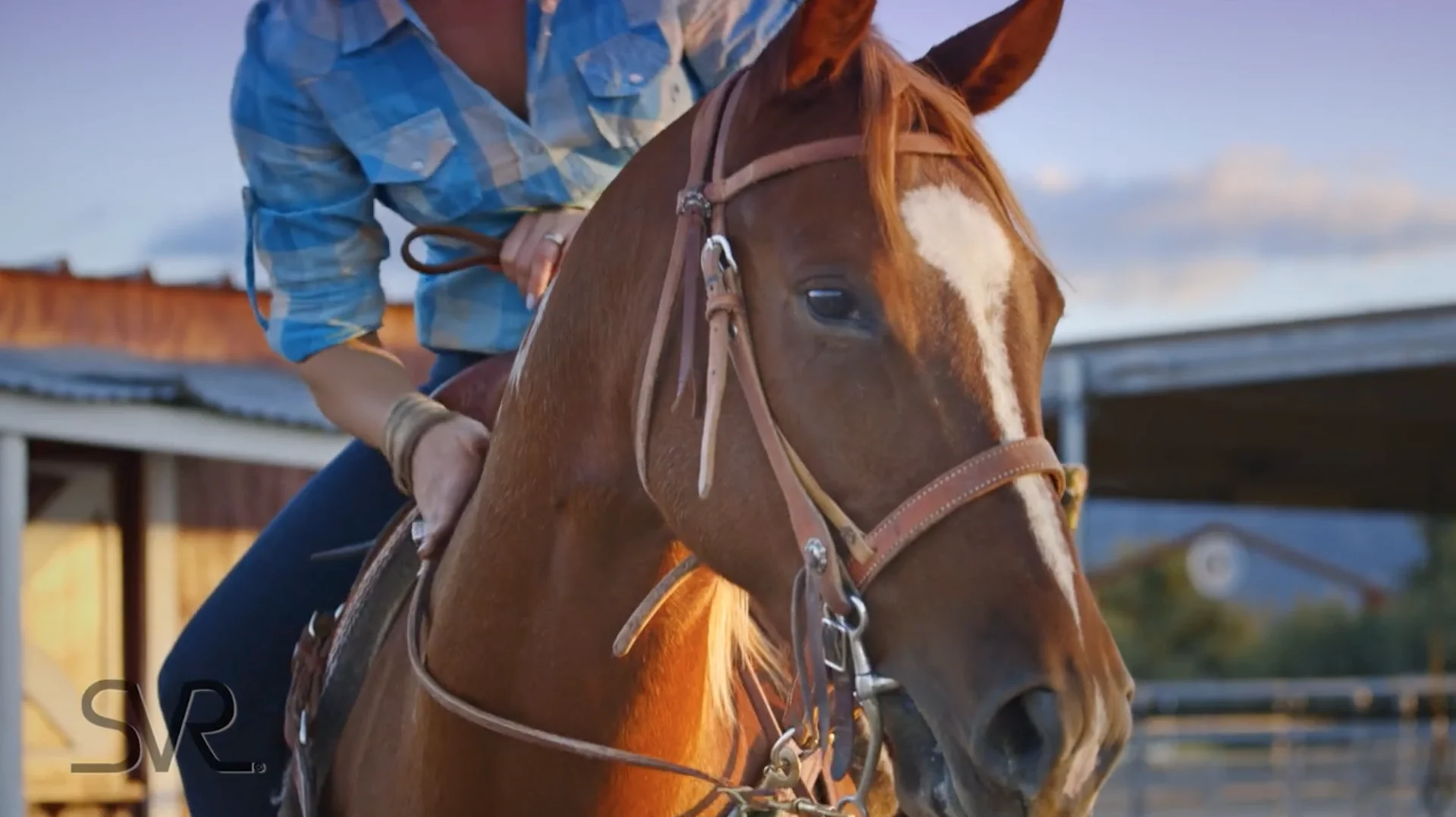 Sandy Valley Ranch - 45 Minutes and 100 Years from Las Vegas