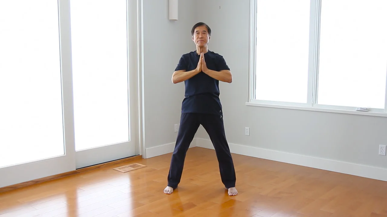 Watch Heart Mind as One with Master Li Junfeng Online | Vimeo On Demand ...