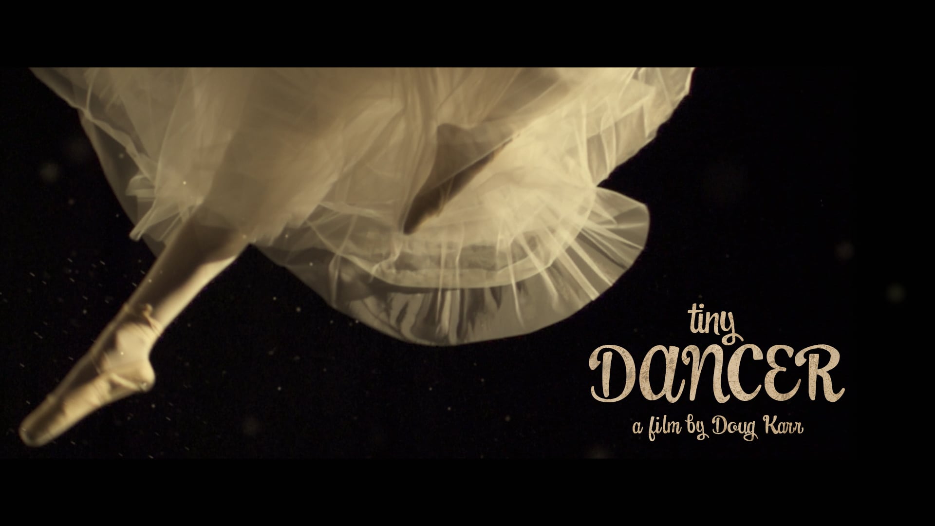 Tiny Dancer | Videos & Movies on Vimeo