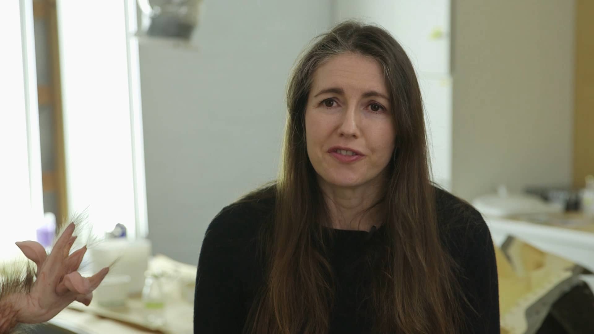 Patricia Piccinini 'Eulogy' on Vimeo