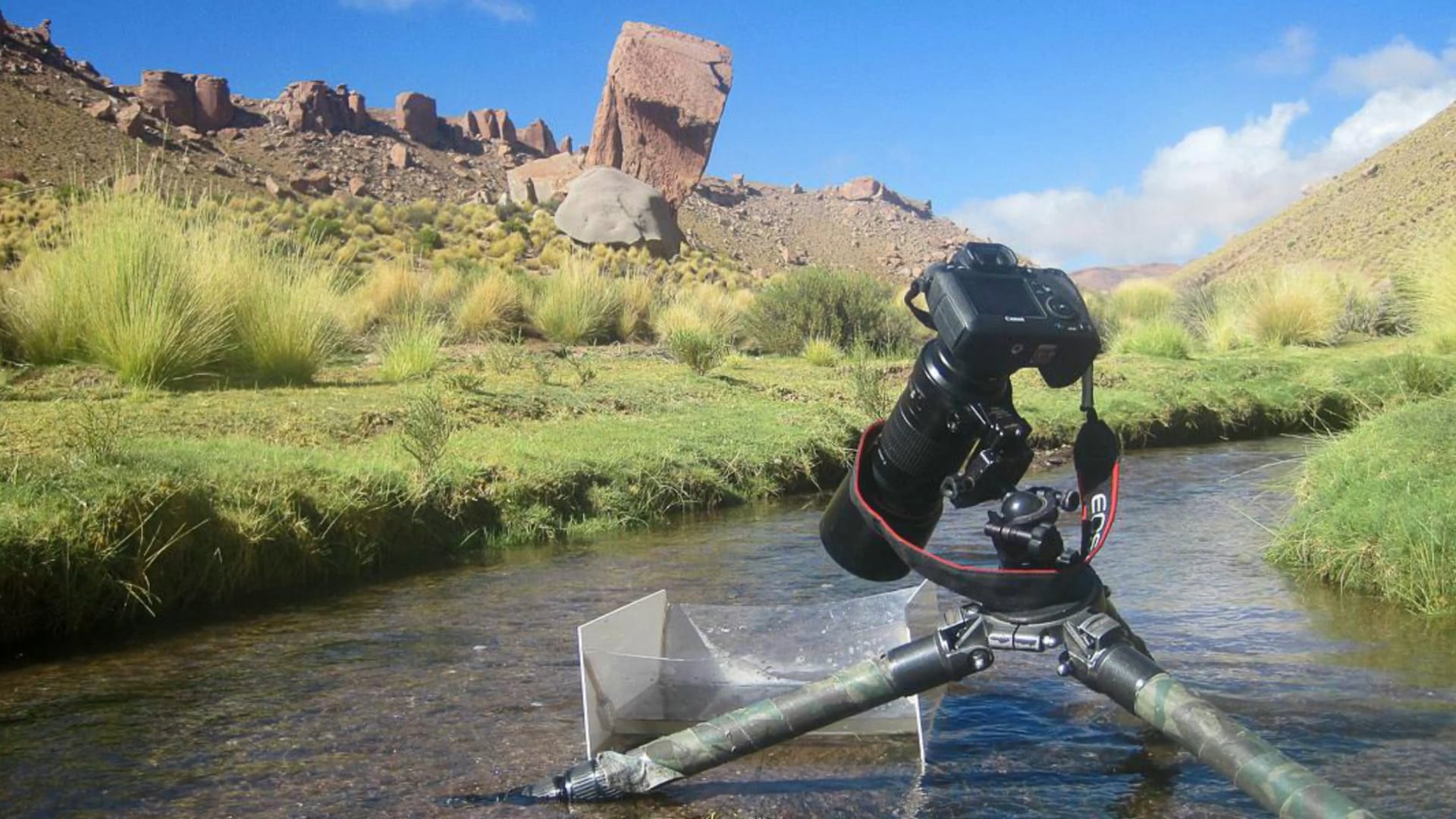 Behind the scenes wildlife photography on Vimeo