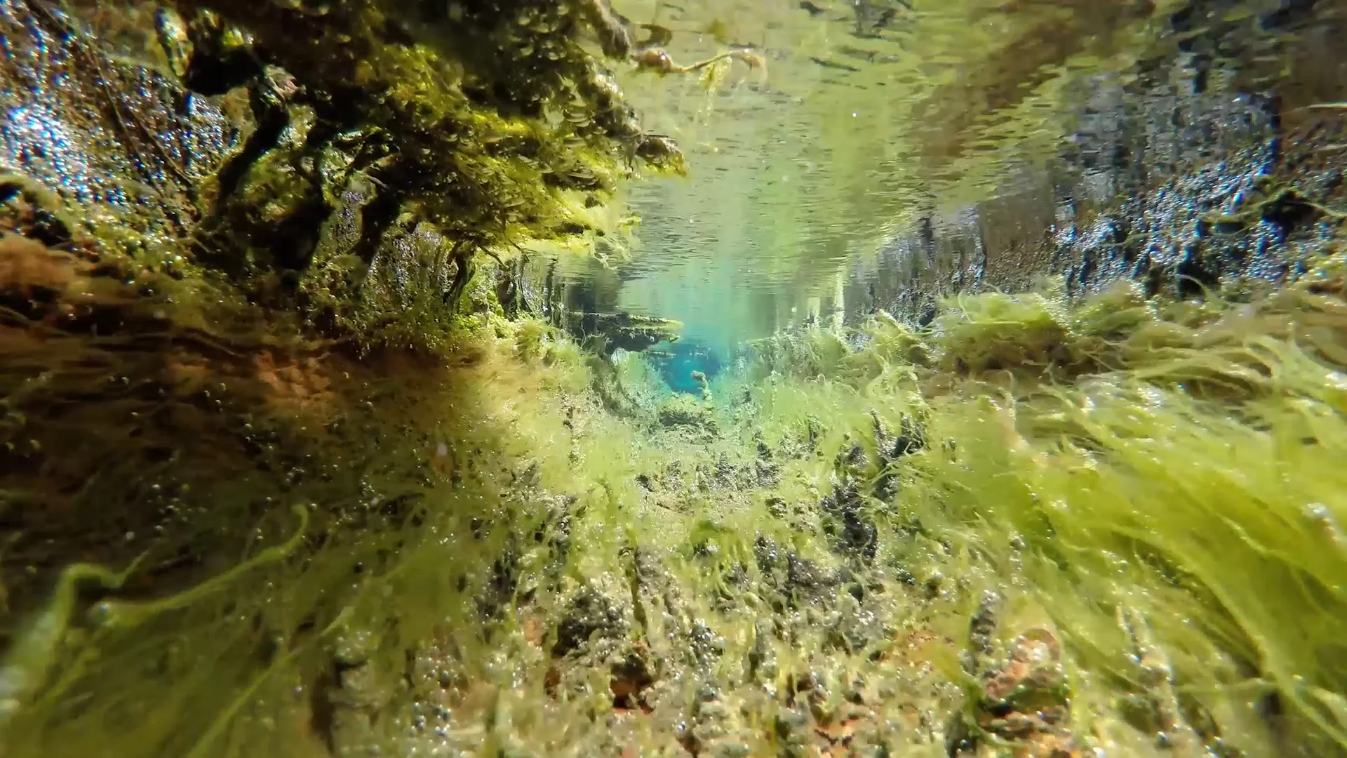 “The Stream VI” ,2015,film excerpt, 01min. on Vimeo